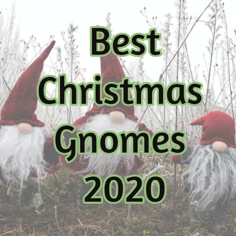 Best Christmas Gnomes for 2020 - The Home of Gnome